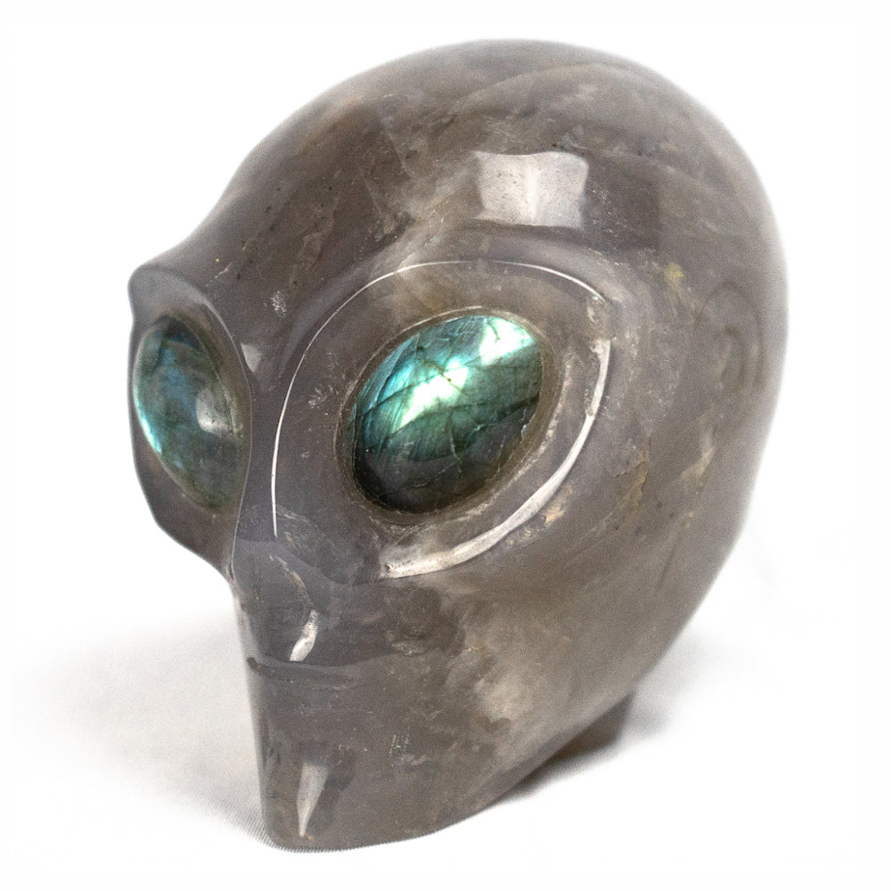 Crystal Alien Skulls | OddNot