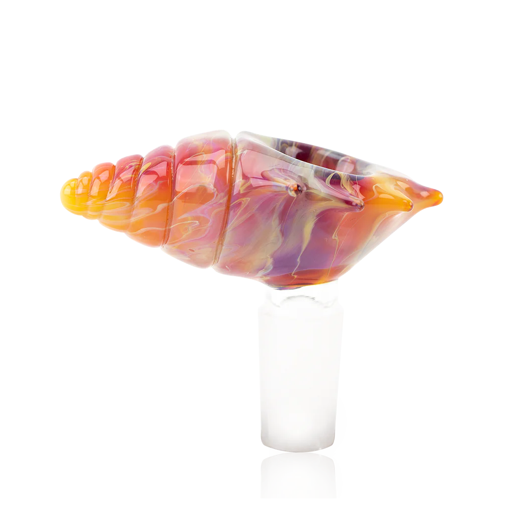 Seashell - 14mm Bowl